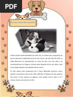 Atlas del Desarrollo Embrionario del Perro | PDF | Embrión | Procesos ...