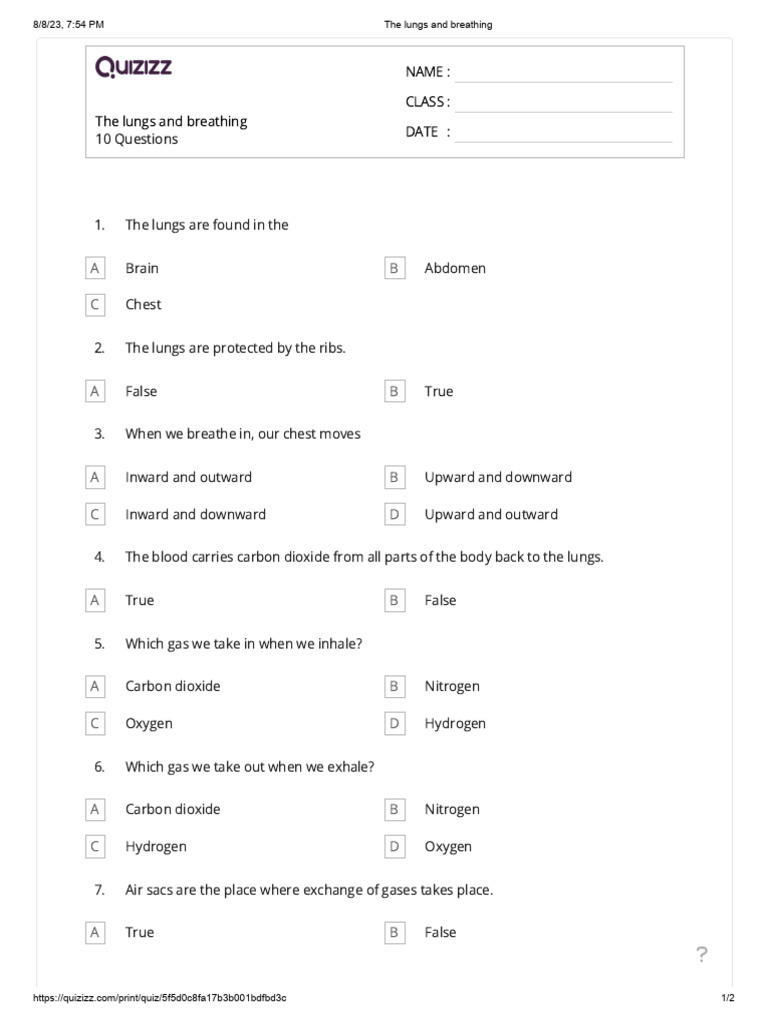 The Lungs and Breathing Worksheet | PDF | Breathing | Lung