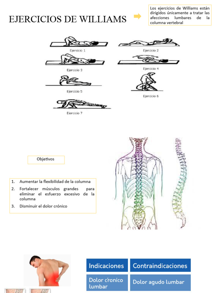 Ejercicios de Williams | PDF | La columna vertebral | Rodilla