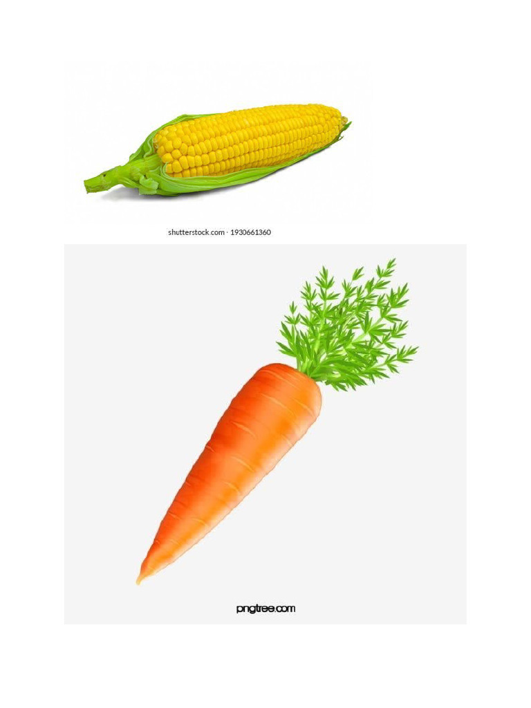 Guessing Food and Drink Games | PDF