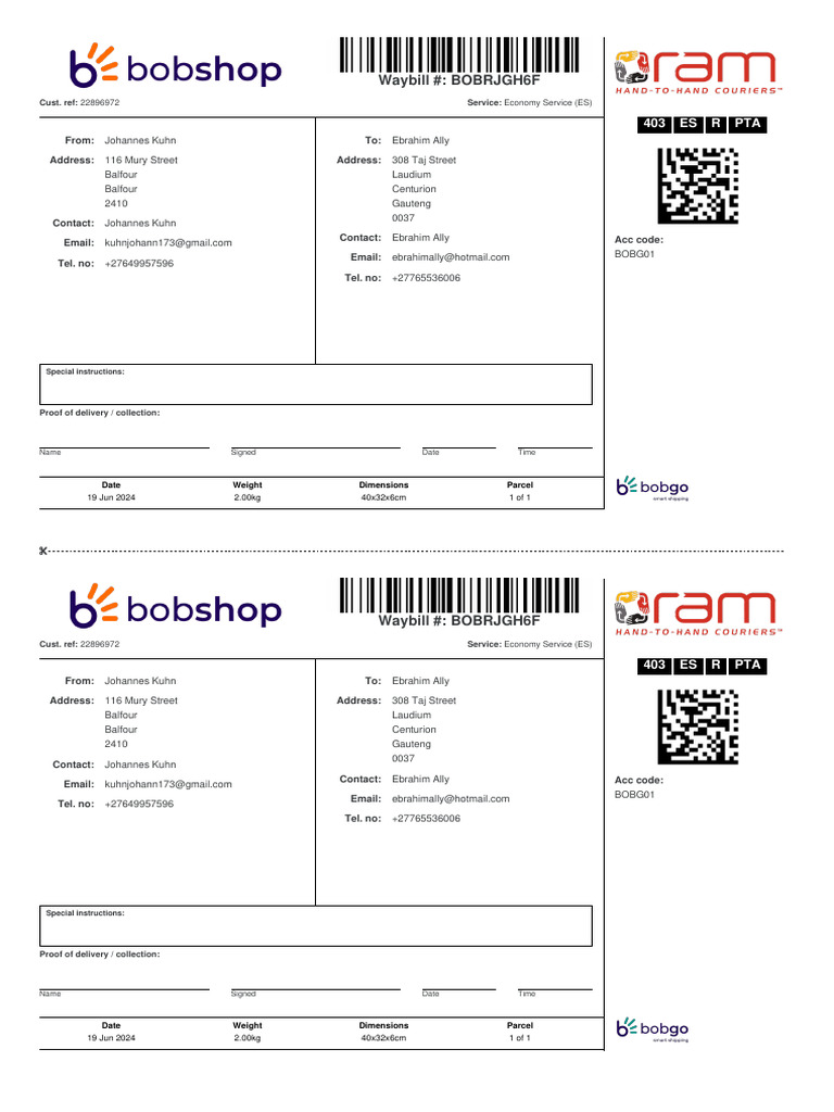 Delivery Details for Ebrahim Ally | PDF
