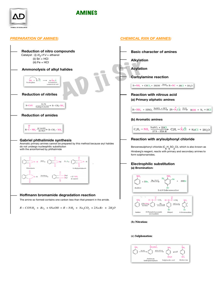 Amines Mind Map | PDF | Amine | Chemical Reactions