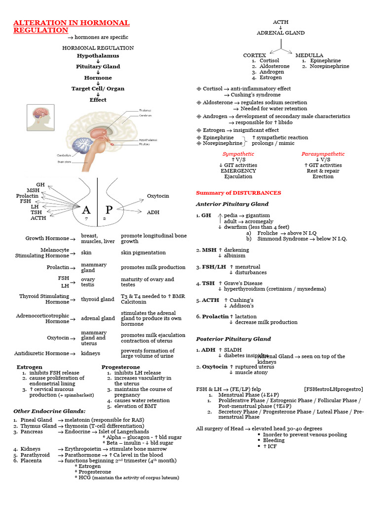 Endocrine System Disorders | PDF | Adrenal Gland | Hyperthyroidism