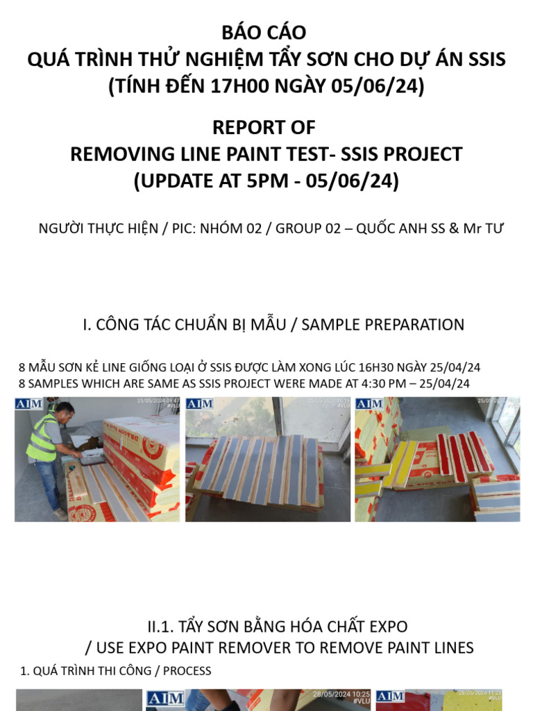 0605. Bao cao tay son SSIS - Report of paint removal test SSIS | PDF
