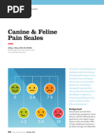 CSU Canine Acute Pain Scale Guide | PDF | Pain | Diseases And Disorders