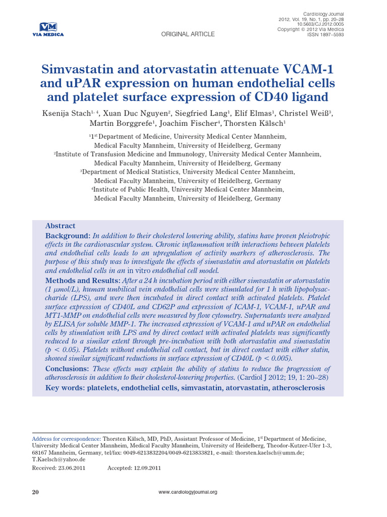 Simvastatin And Atorvastatin Attenuate Vcam 1 And Upar Expression On