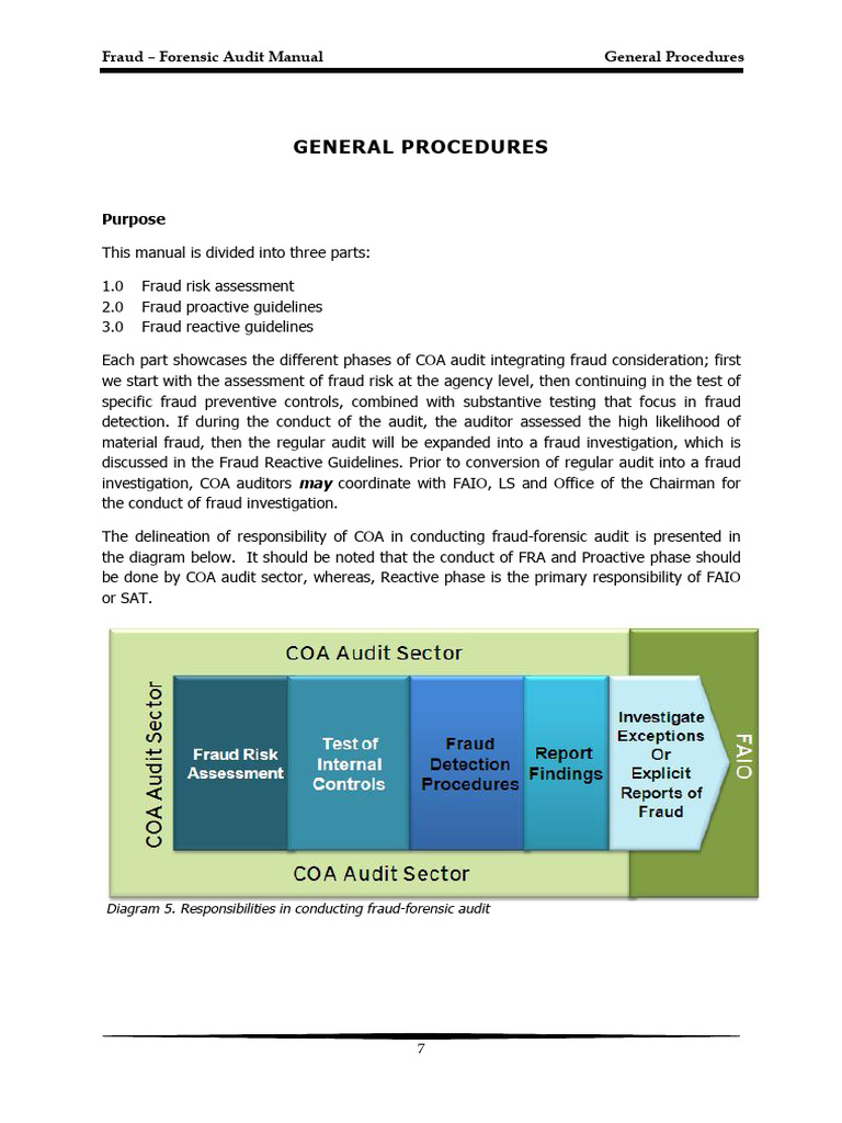 00 - 3 - General Procedures | PDF | Audit | Risk