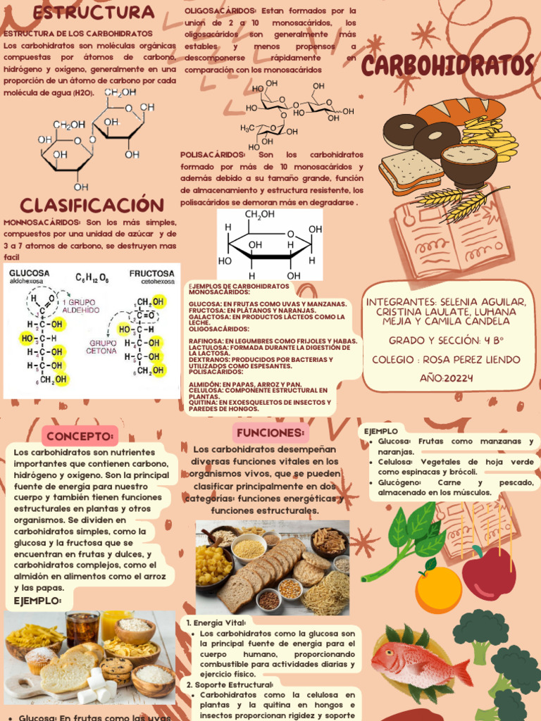CARBOHIDRATOS | PDF | Carbohidratos | Polisacárido