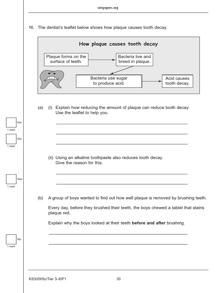 How Plaque Causes Tooth Decay: KS3/09/Sc/Tier 3-6/P1 30 | PDF | Health ...