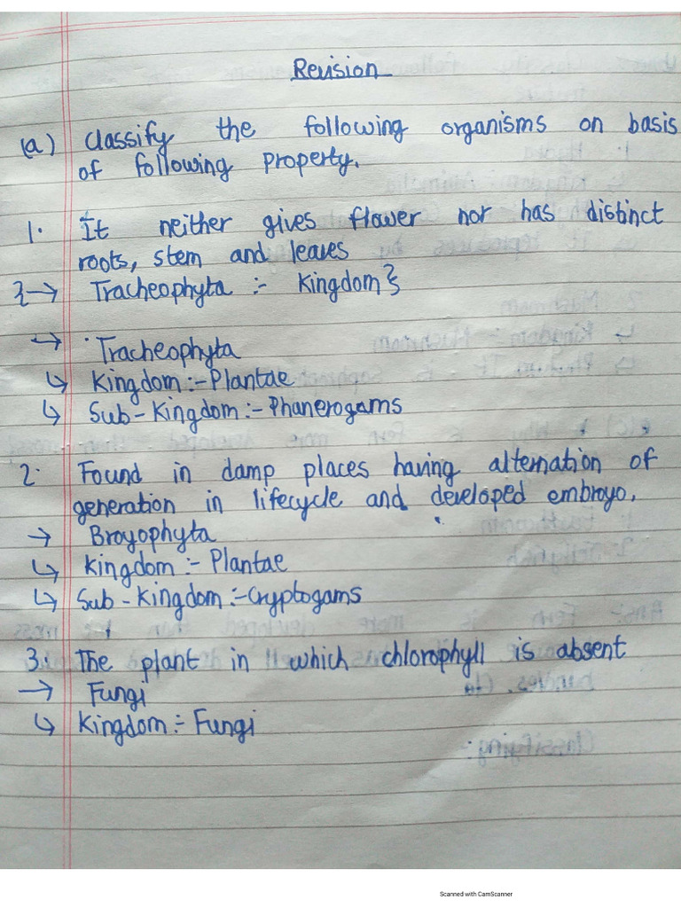 Science HW | PDF