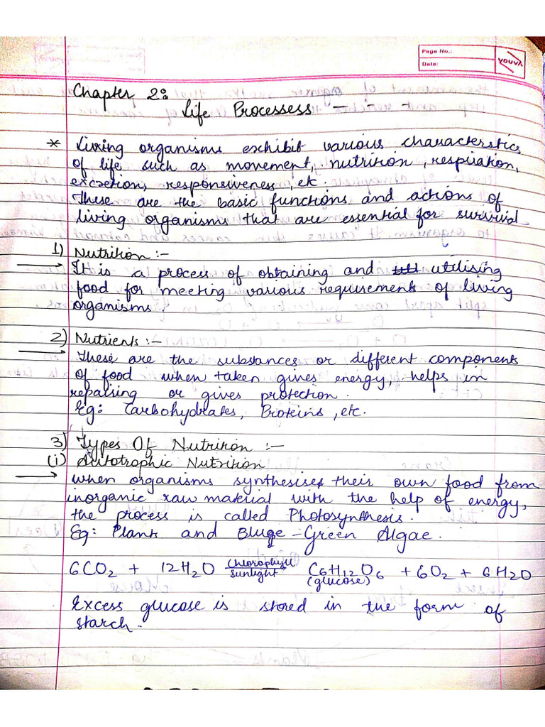Chapter- Life processes | PDF