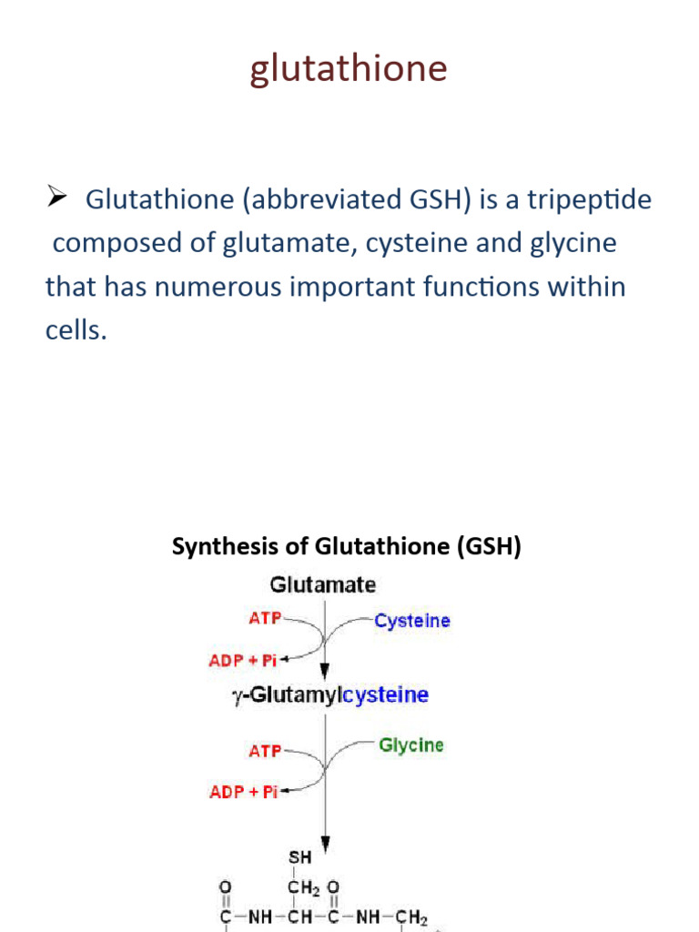 Glutathione | PDF | Glutathione | Enzyme