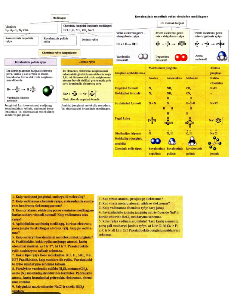 Cheminiai Rysiai | PDF