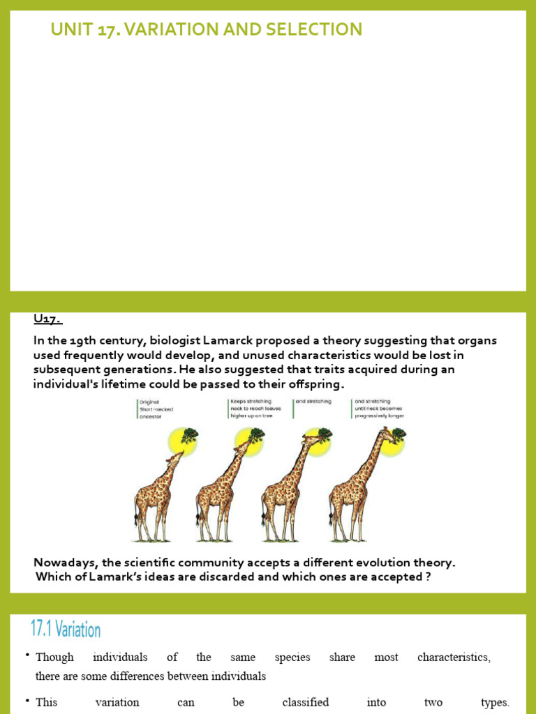 17 Variation and Selection | PDF | Genetic Variation | Mutation