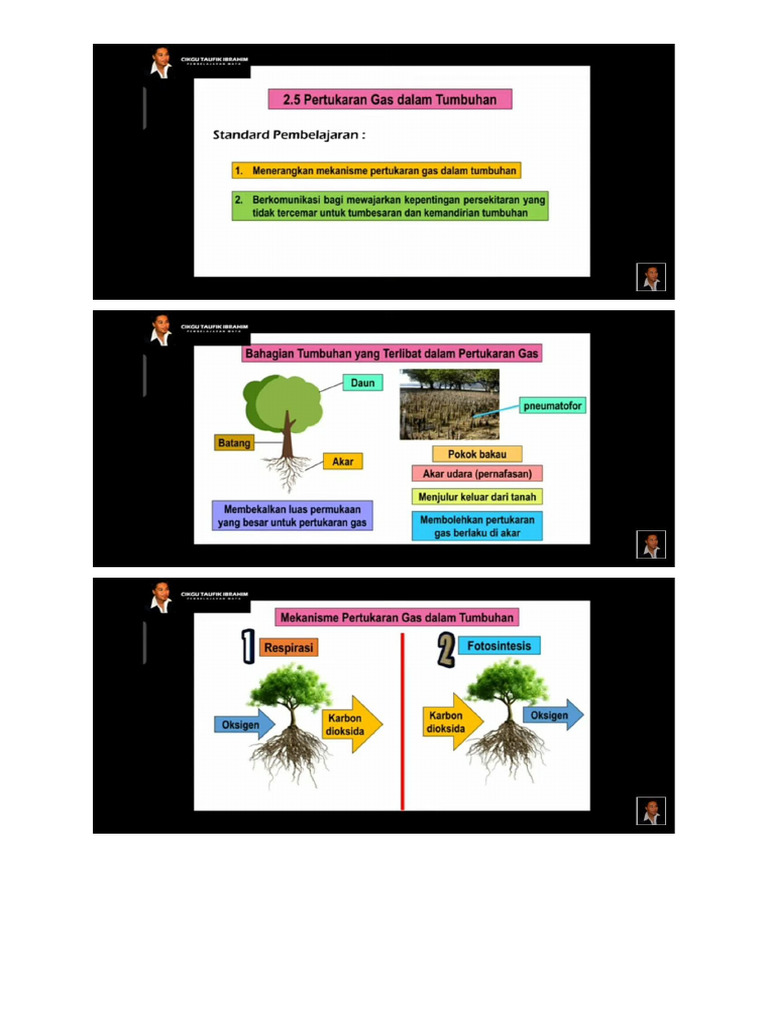 2 5 Pertukaran Gas Dalam Tumbuhan Pdf