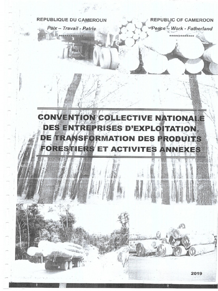 CONVENTION COLLECTIVE NATIONAL DES ENTREPRISE FORESTIER-2019 | PDF