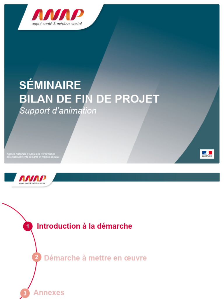 ANAP - Seminaire Fin de Projet Informatisation | PDF | Risque | Budget