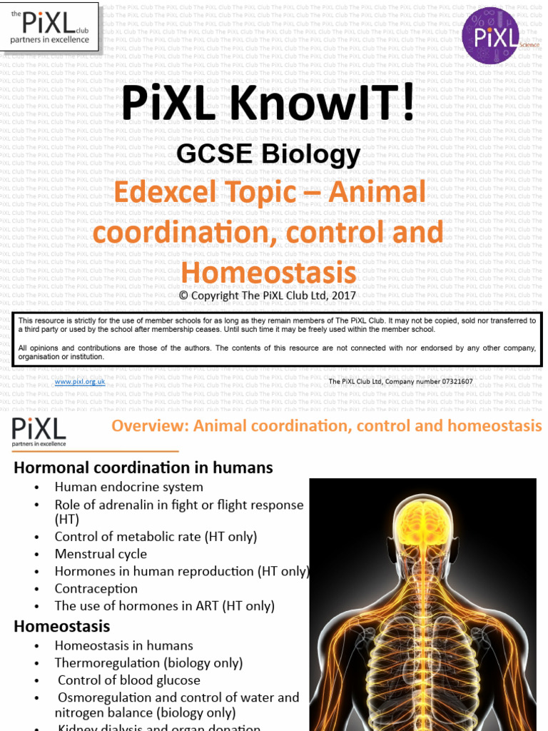 Edexcel Biology Animal Coordination Control and Homeostasis KnowIT GCSE ...