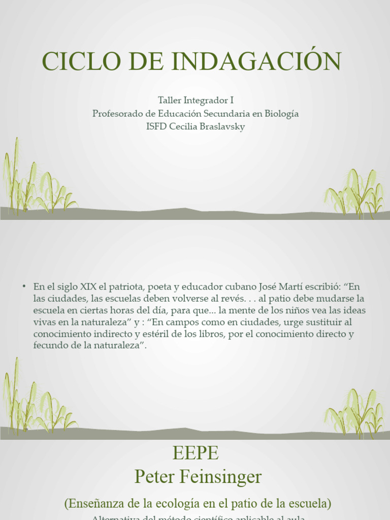 Ciclo de Indagación | PDF | Conocimiento | Mente