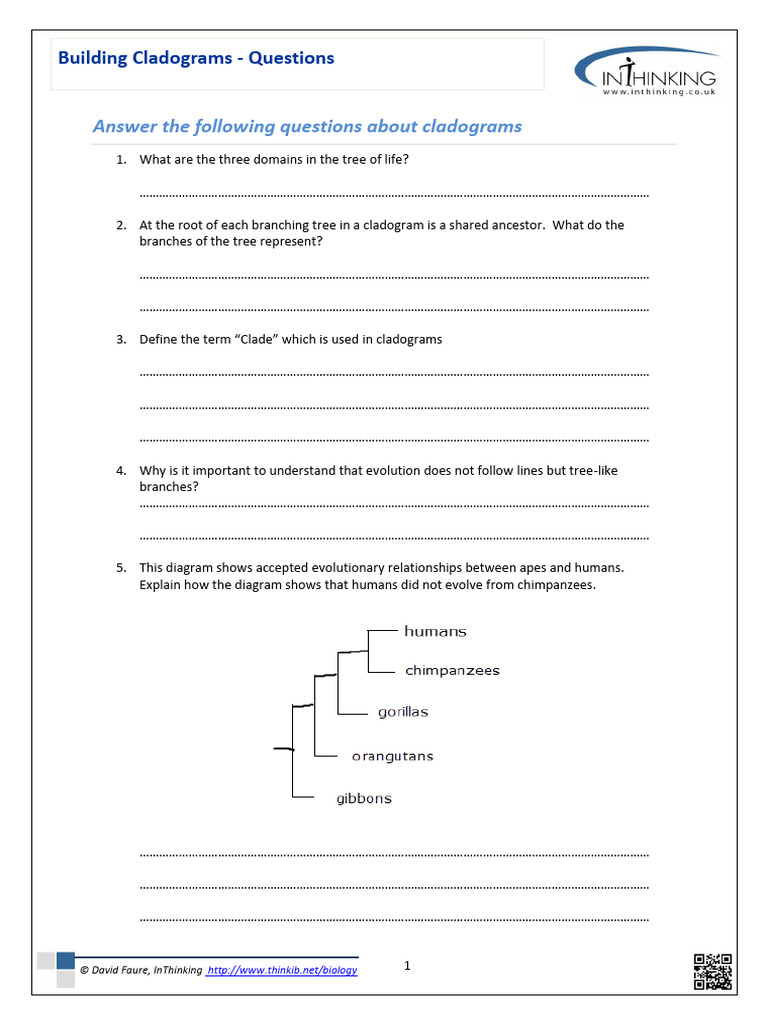 Cladogram Questions2 | PDF | History