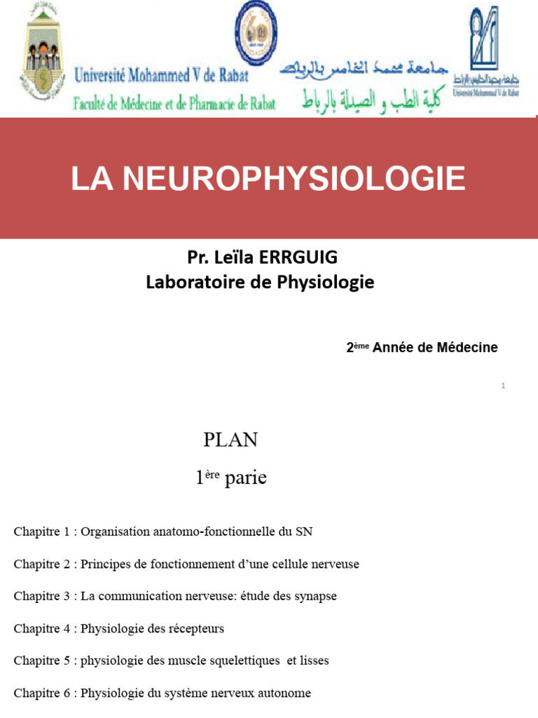 Physio Nerv 1 FMPR | PDF | Neurone | Système nerveux