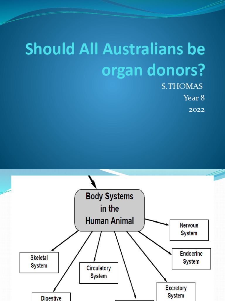Circulatory + Respiratory System | PDF | Respiratory System | Cellular ...