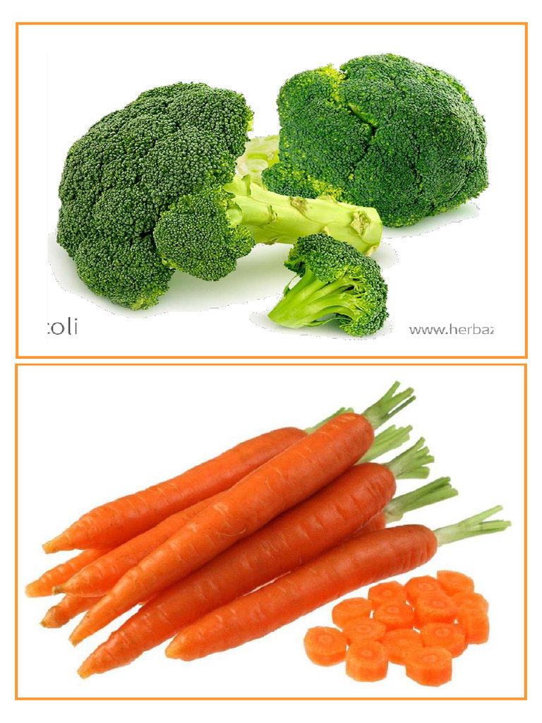 Vegetables | PDF