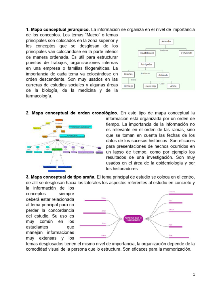 8-4 Mapas Conceptuales Segundo Periodo | PDF