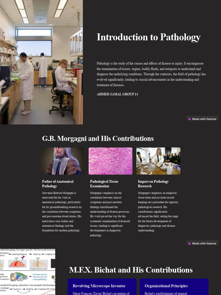 Introduction to Pathology 2 | PDF | Pathology | Personalized Medicine