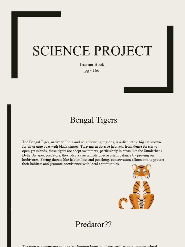 Unit 6 - Project | PDF