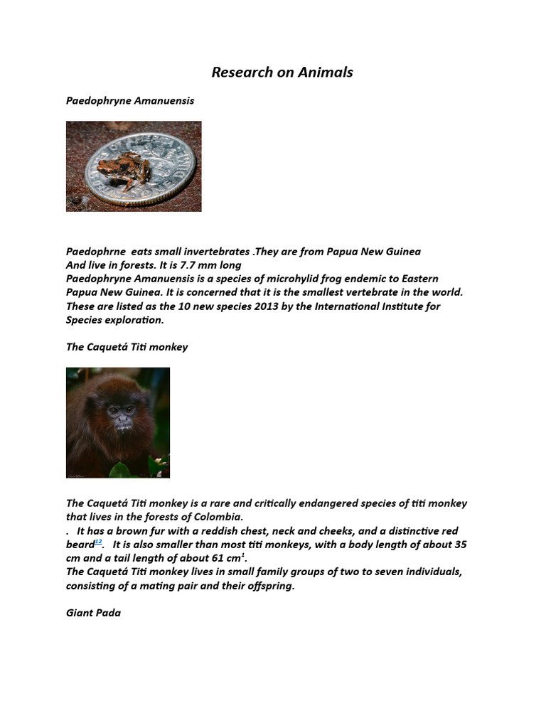 Research On Animals | PDF | Whales | Gorilla