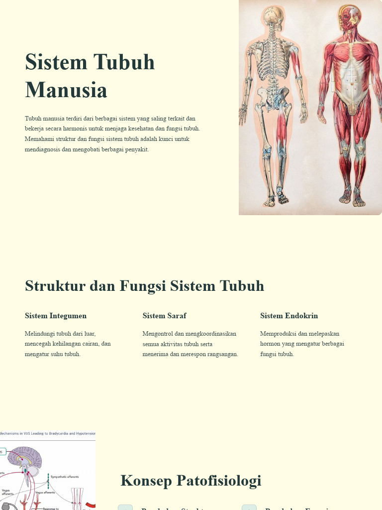 Patofisiologi Kel 13 | PDF | Pengembangan Diri | Kesehatan Holistik