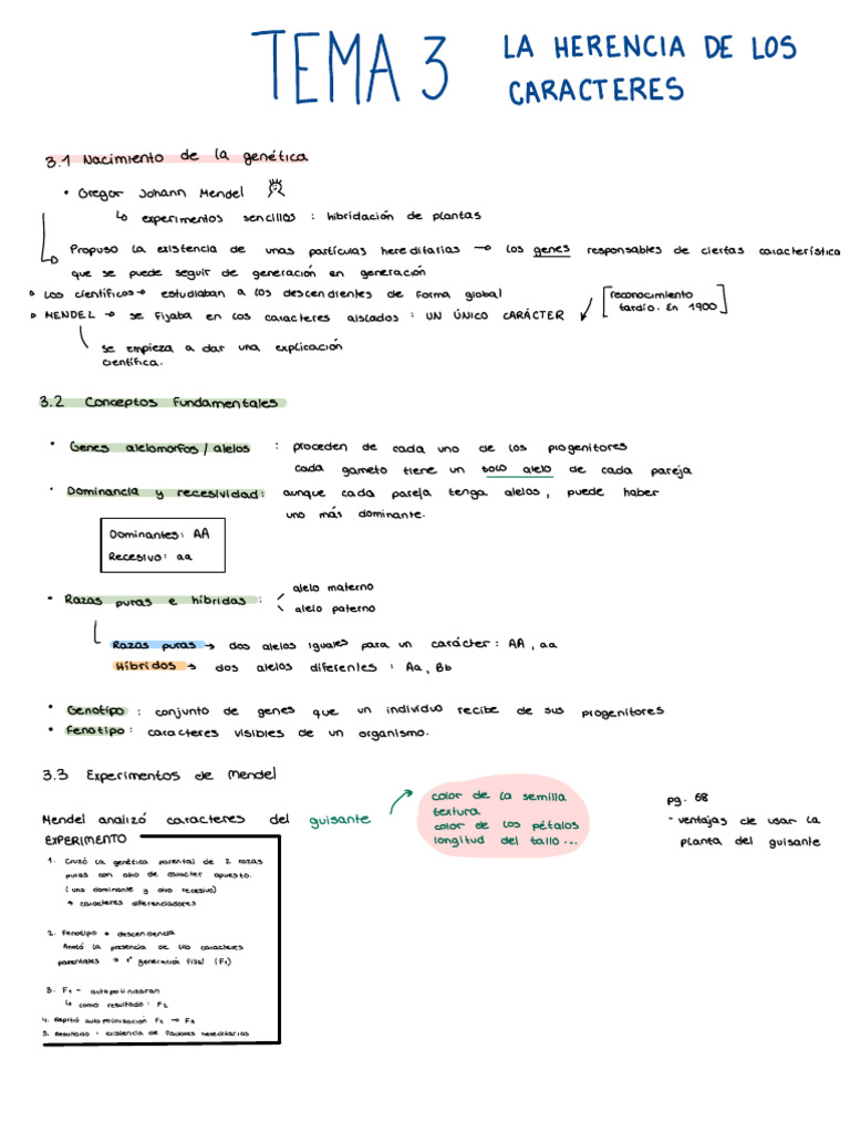 Bio - 4 Esba 2 | PDF | Dominancia (Genética) | Ciencias de la vida