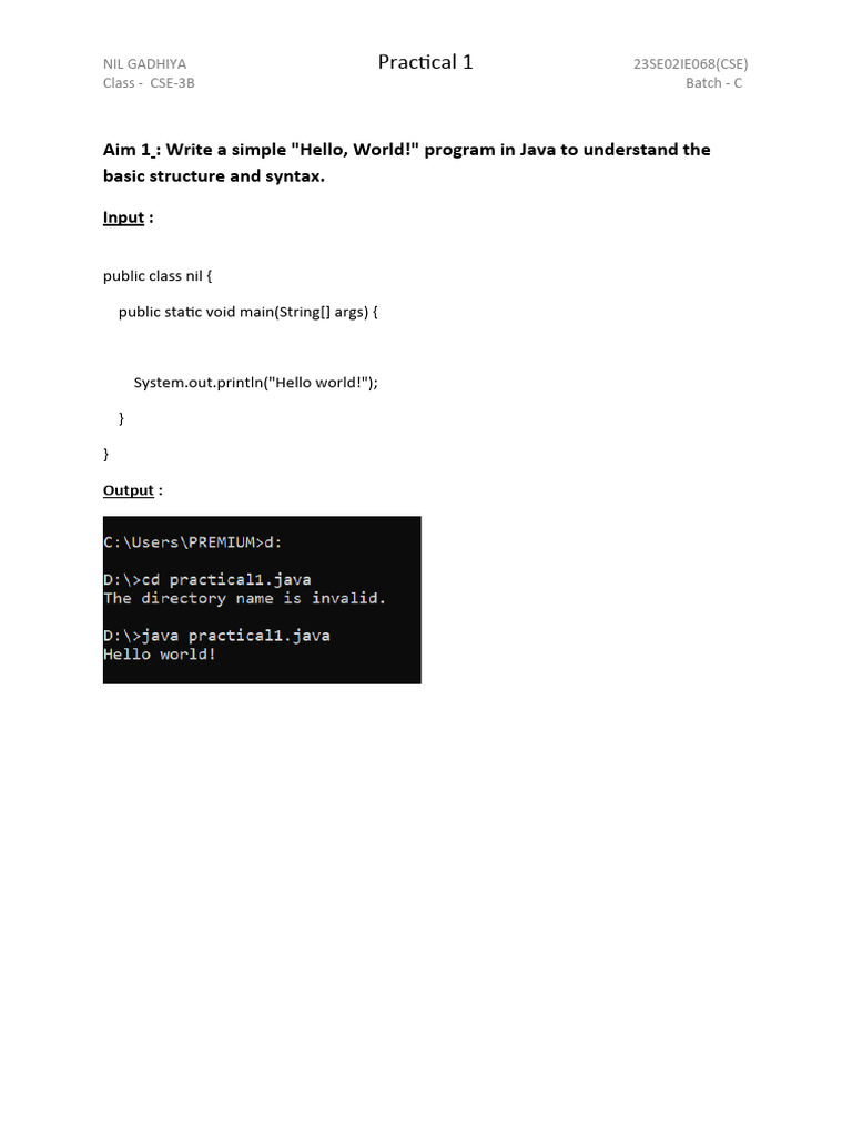 Practical 1 Pdf