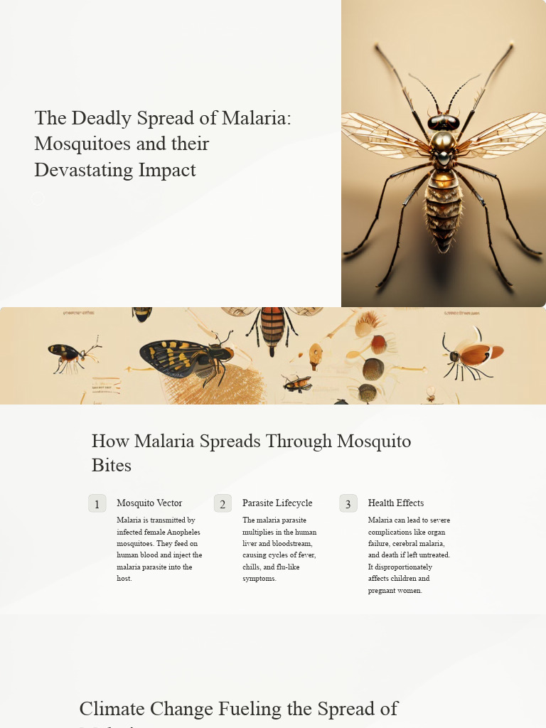 The-Deadly-Spread-of-Malaria-Mosquitoes-and-their-Devastating-Impact ...