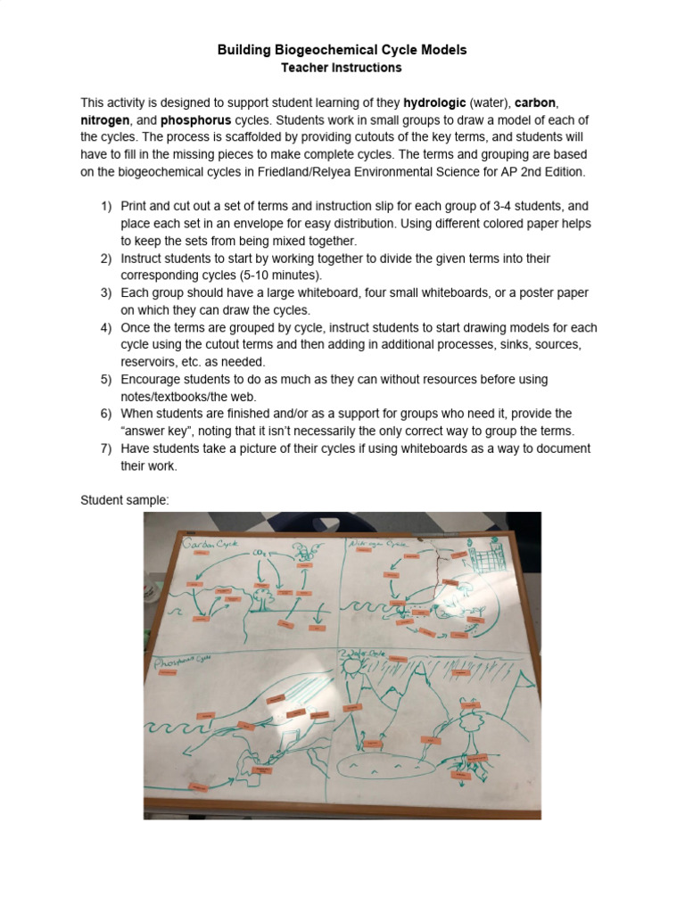 Building Biogeochemical Cycle Models: Teacher Instructions | PDF ...