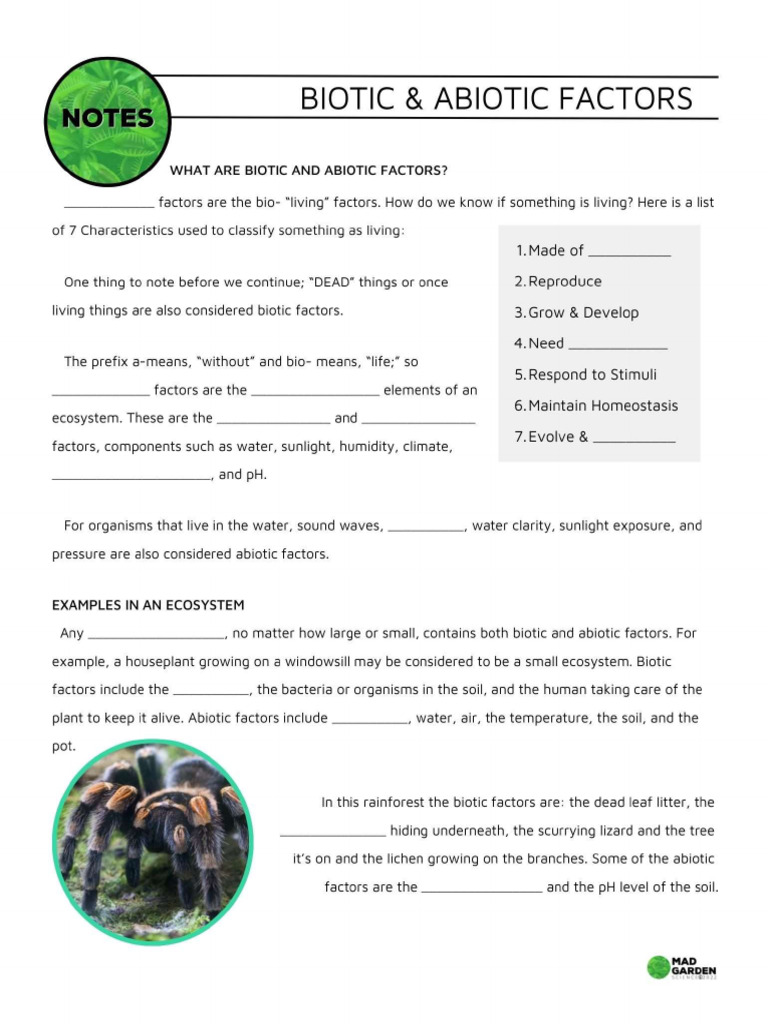 Biotic Abiotic Video Guided Notes | PDF