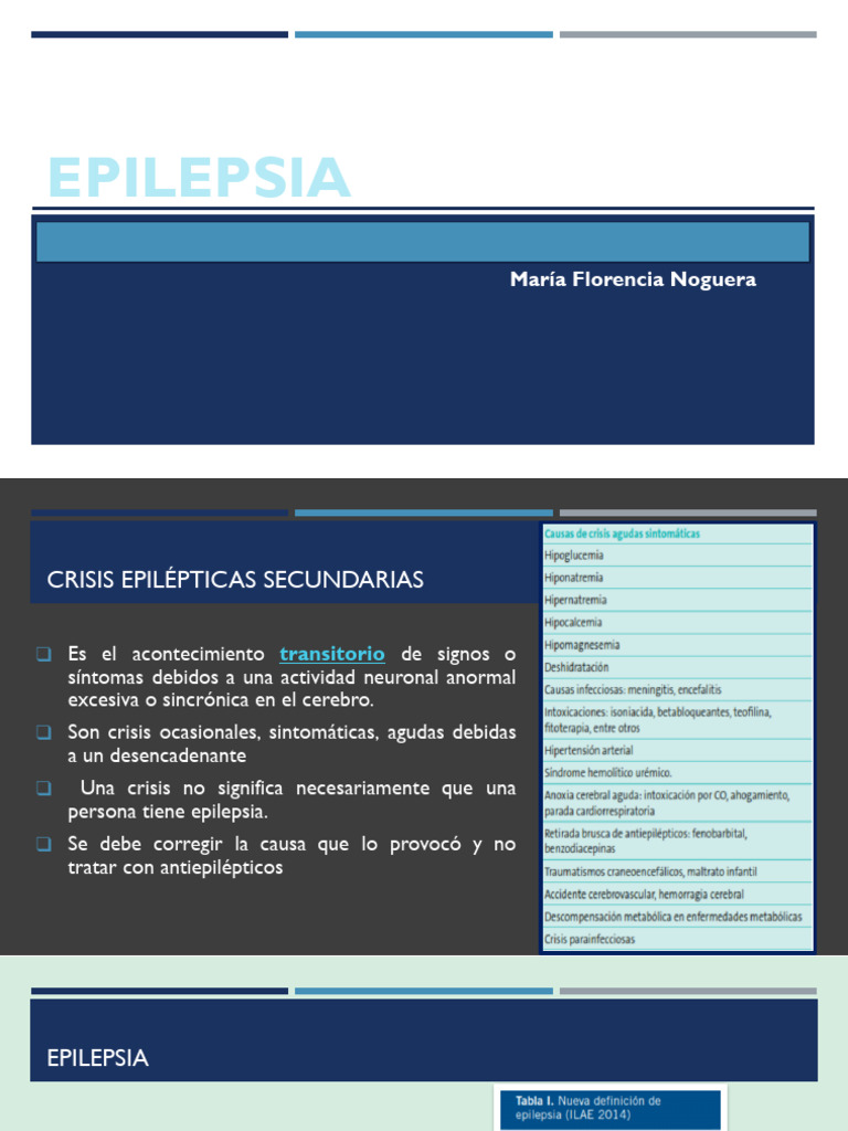 0 - EPILEPSIA Flor | PDF | Epilepsia | Epidemiología