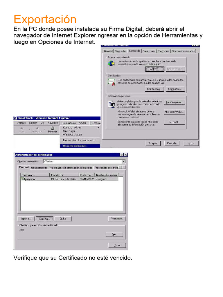 Firma digital instructivo | PDF | explorador de Internet | Software
