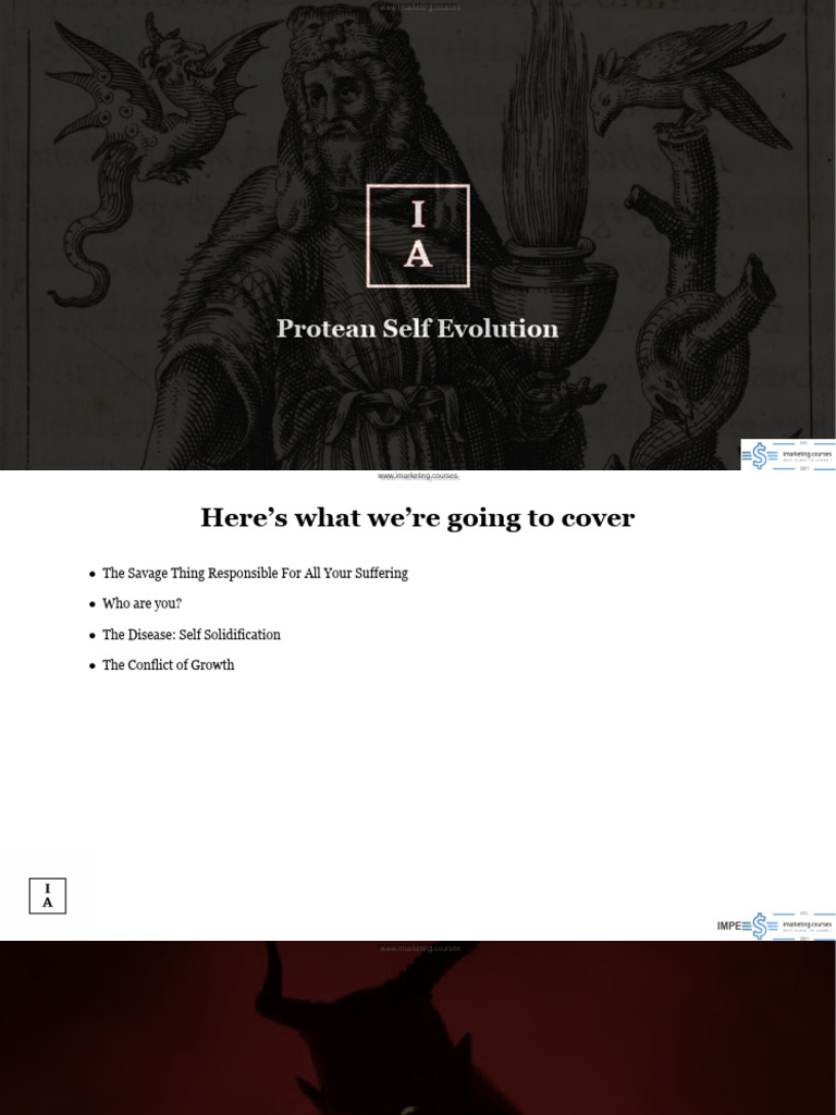 03-_slides_Protean_Self_Evolution | PDF | Experience | Perception