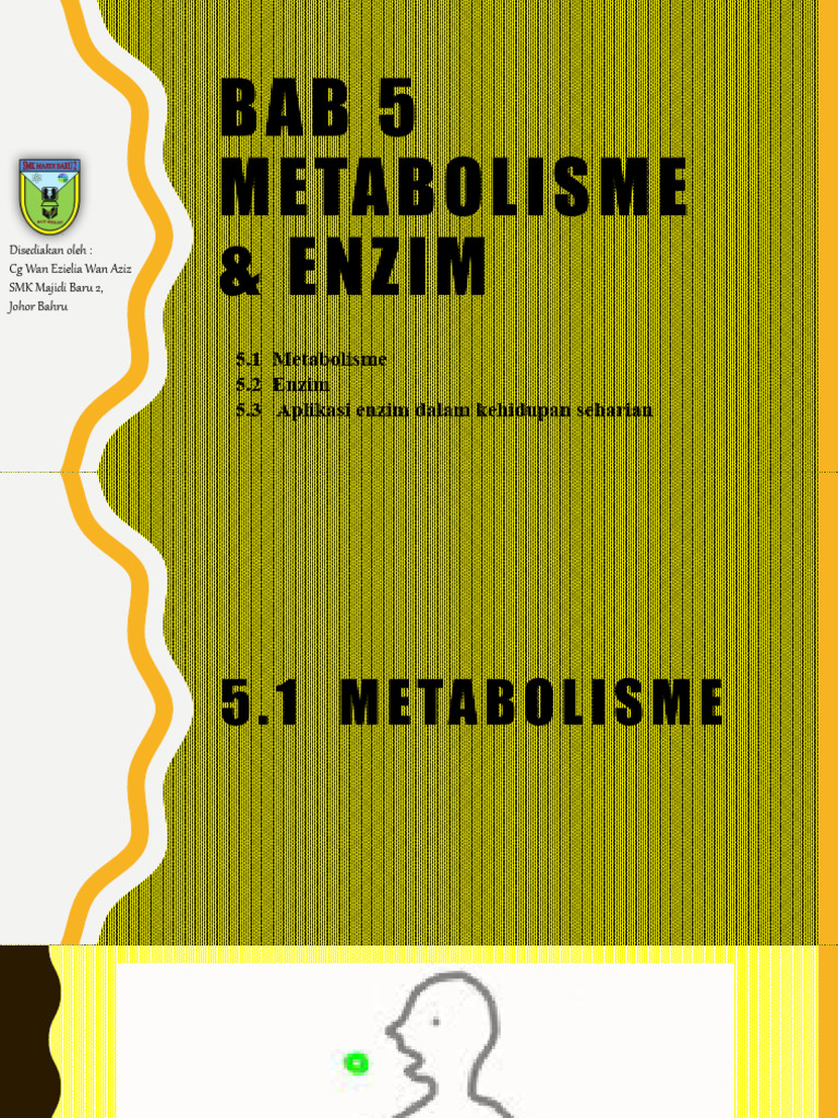 Presentation Bab 5 Bio | PDF