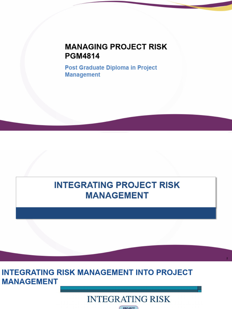 Project Risk Management Guide | PDF | Risk Management | Risk