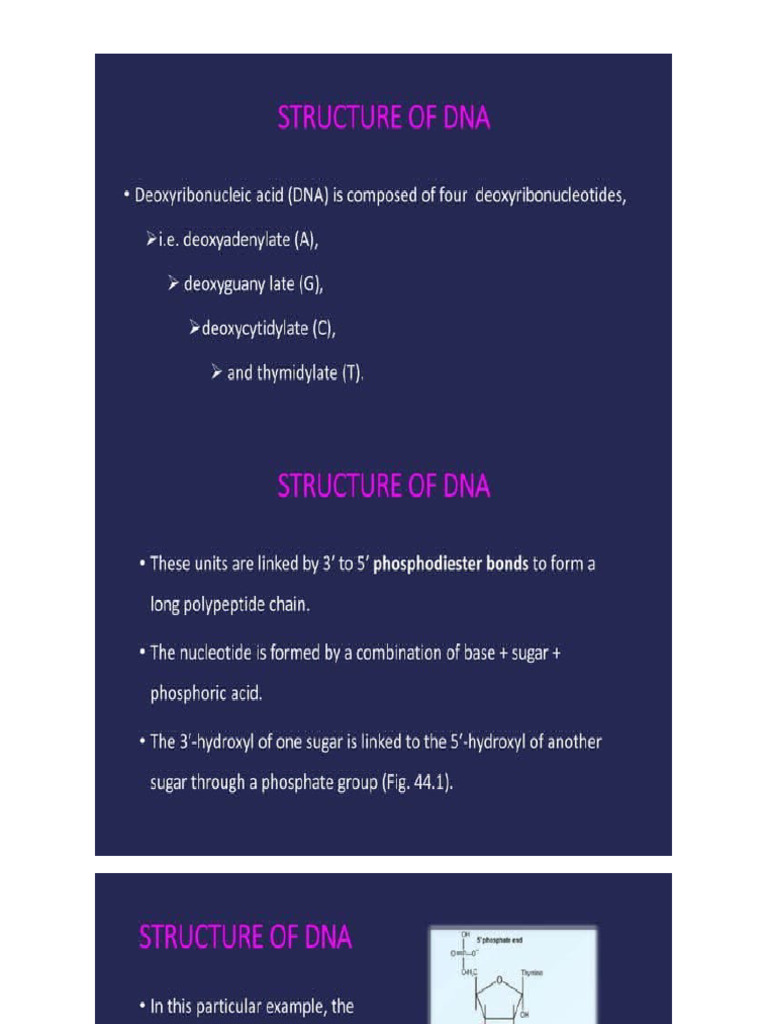 DNA Structure | PDF