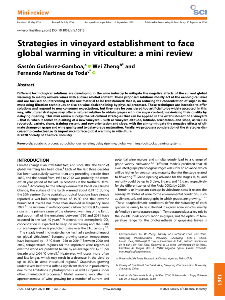 Vineyard Strategies Against Global Warming | PDF | Viticulture | Vineyard