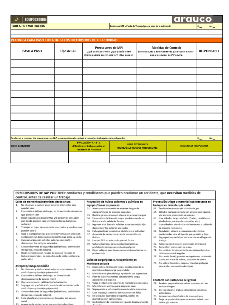 Formato Práctica ABC Planta Arauco | PDF