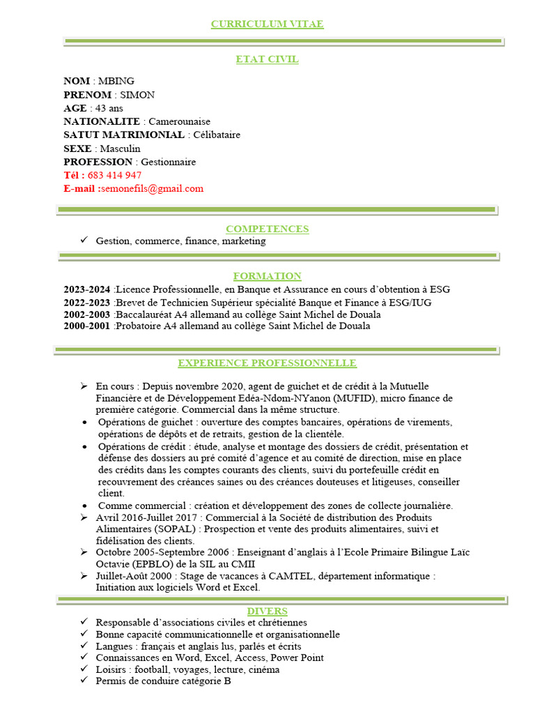 CV Simon Mbing | PDF | Banques | Crédit