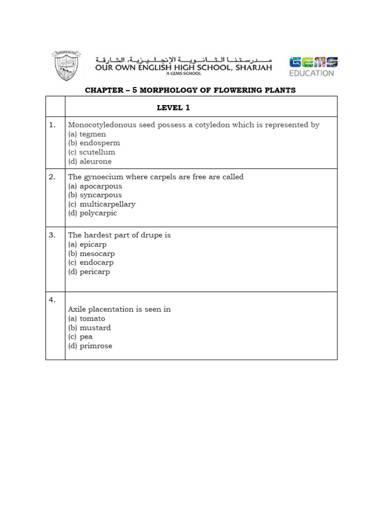 Grade 11 - Chapter 5 - Morphology of Flowering Plants - 2023-24 | PDF ...