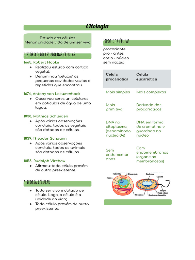 Estudo da Citologia e Tipos de Células | PDF