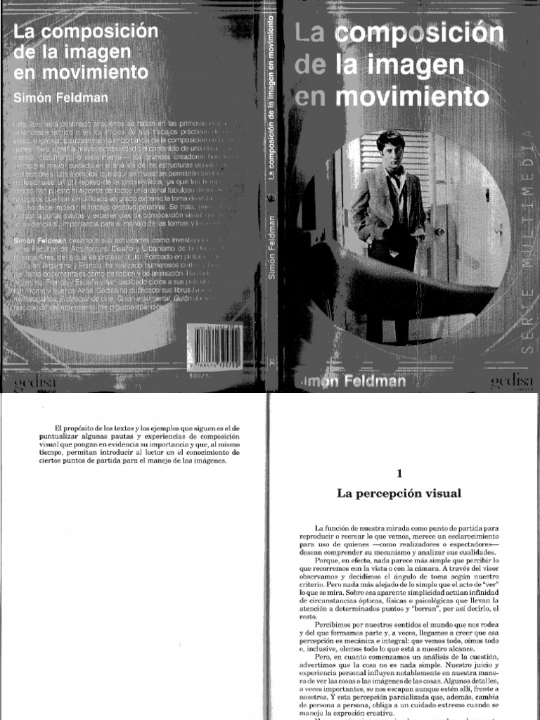 FELDMAN Simon - La Composicion de La Imagen en Movimiento Cap1 | PDF
