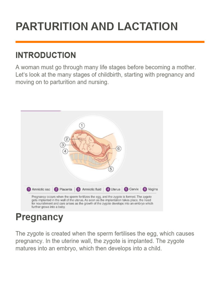 Biology PPT PARTURITION AND LACTATION | PDF | Lactation | Fetus